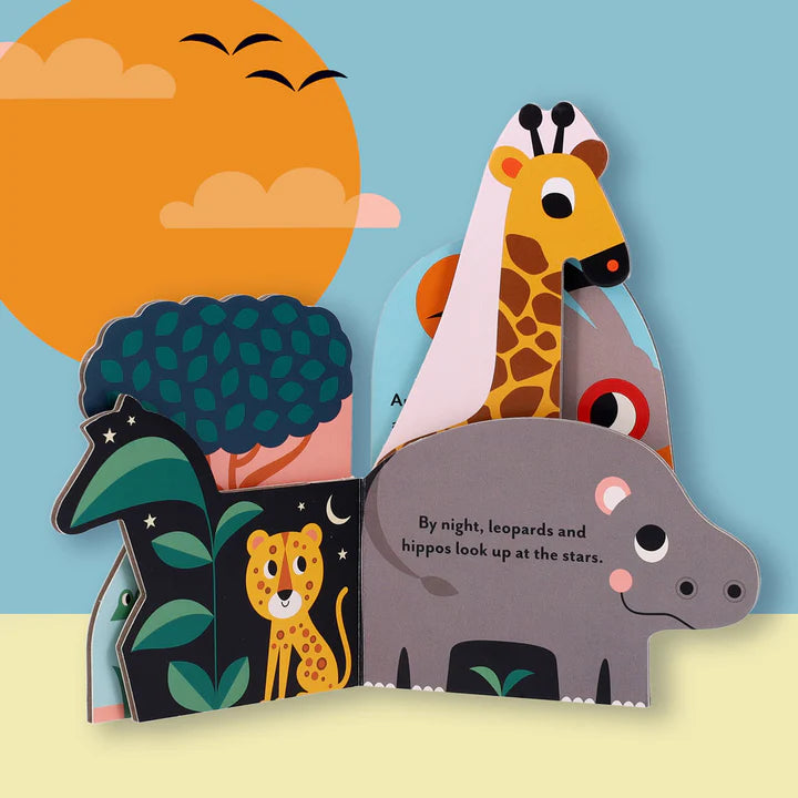 Wild Animals Board Book – Sidebloom Shop